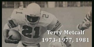 Terry Metcalf – NFL Past Players