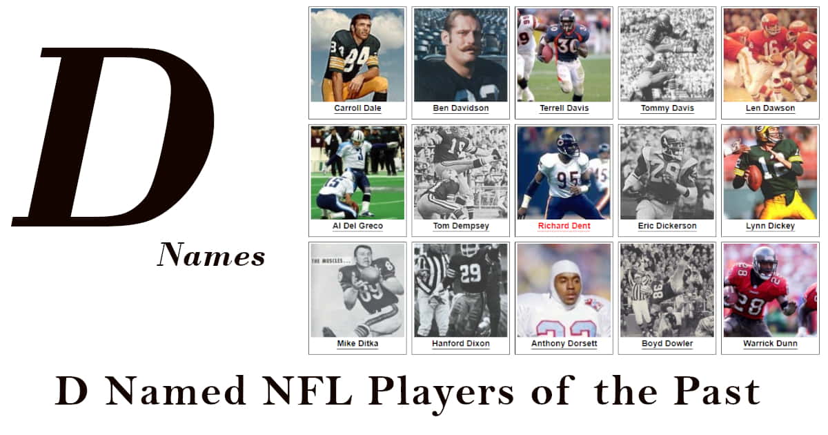 D Named Players – NFL Past Players